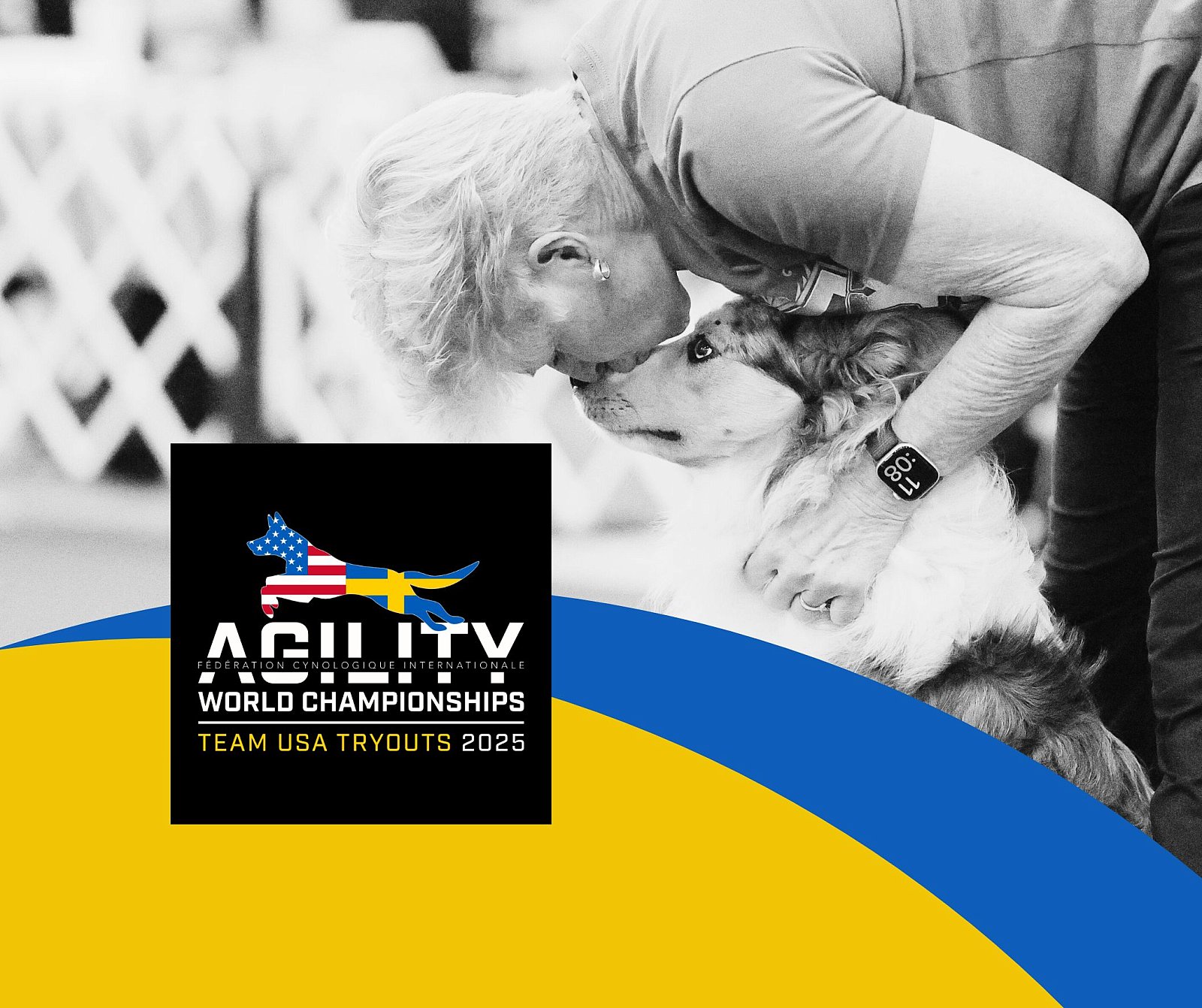 2025 World Team Tryouts - Events - AKC Events - www.greatdanephotos.com