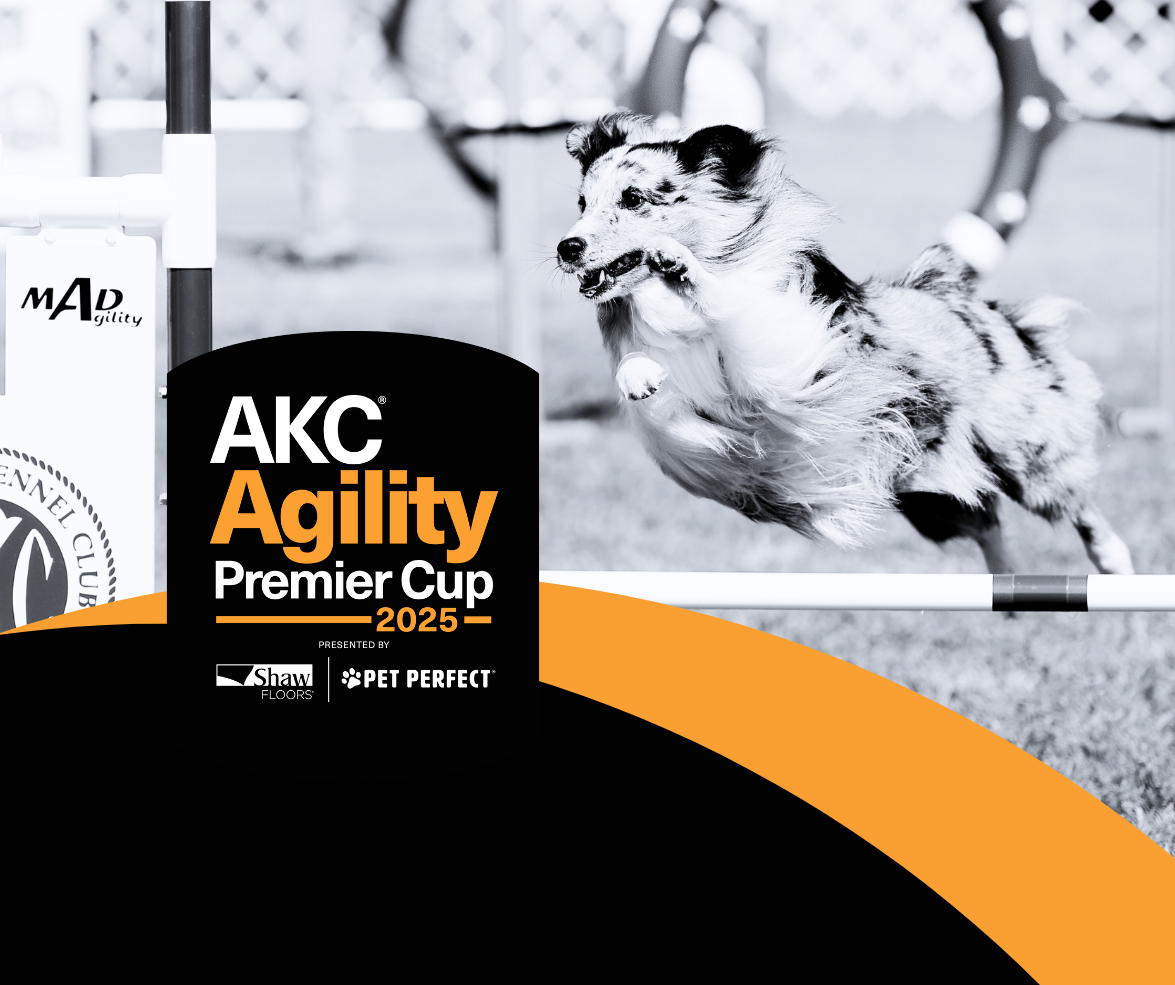 2025 AKC Agility Premier Cup - Events - AKC Events - www ...